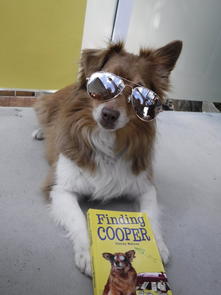 Finding Cooper! | Stacey Matson